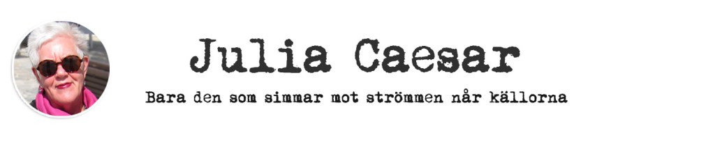 Om Julia Caesar – Julia Caesar