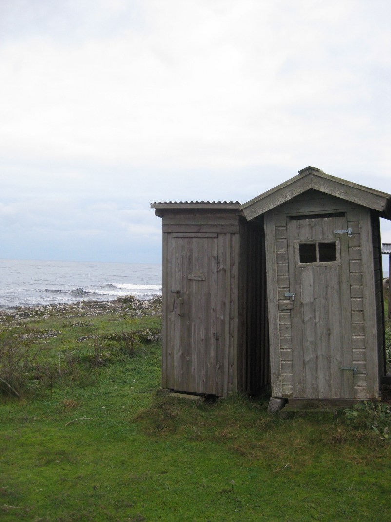 Vänskap är förståelse utan ord – Julia Caesar