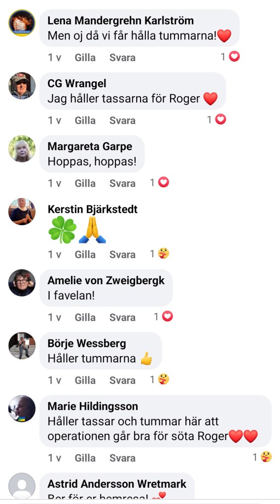 Kulturelitens djupa sorg över marsvinet Rogers hädanfärd – Julia Caesar